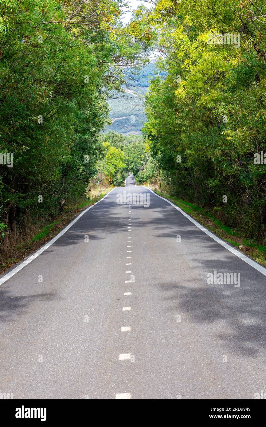 Symmetrical tree hi-res stock photography and images - Alamy