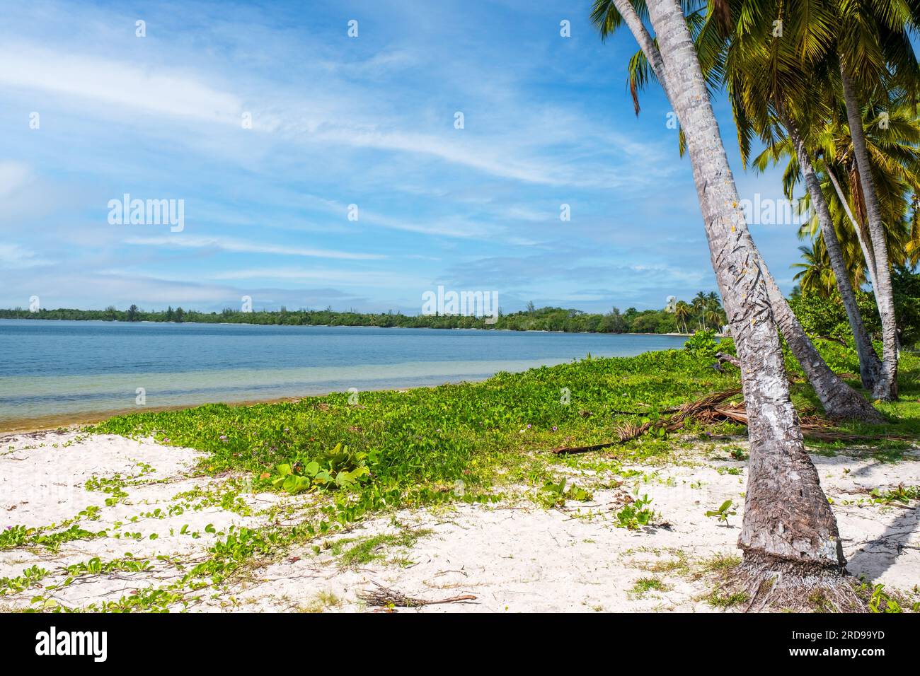 Playa Larga beach on the Zapata Peninsula in Cuba on a summer day Stock ...