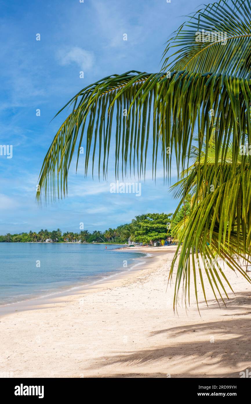 Playa Larga beach on the Zapata Peninsula in Cuba on a summer day Stock ...