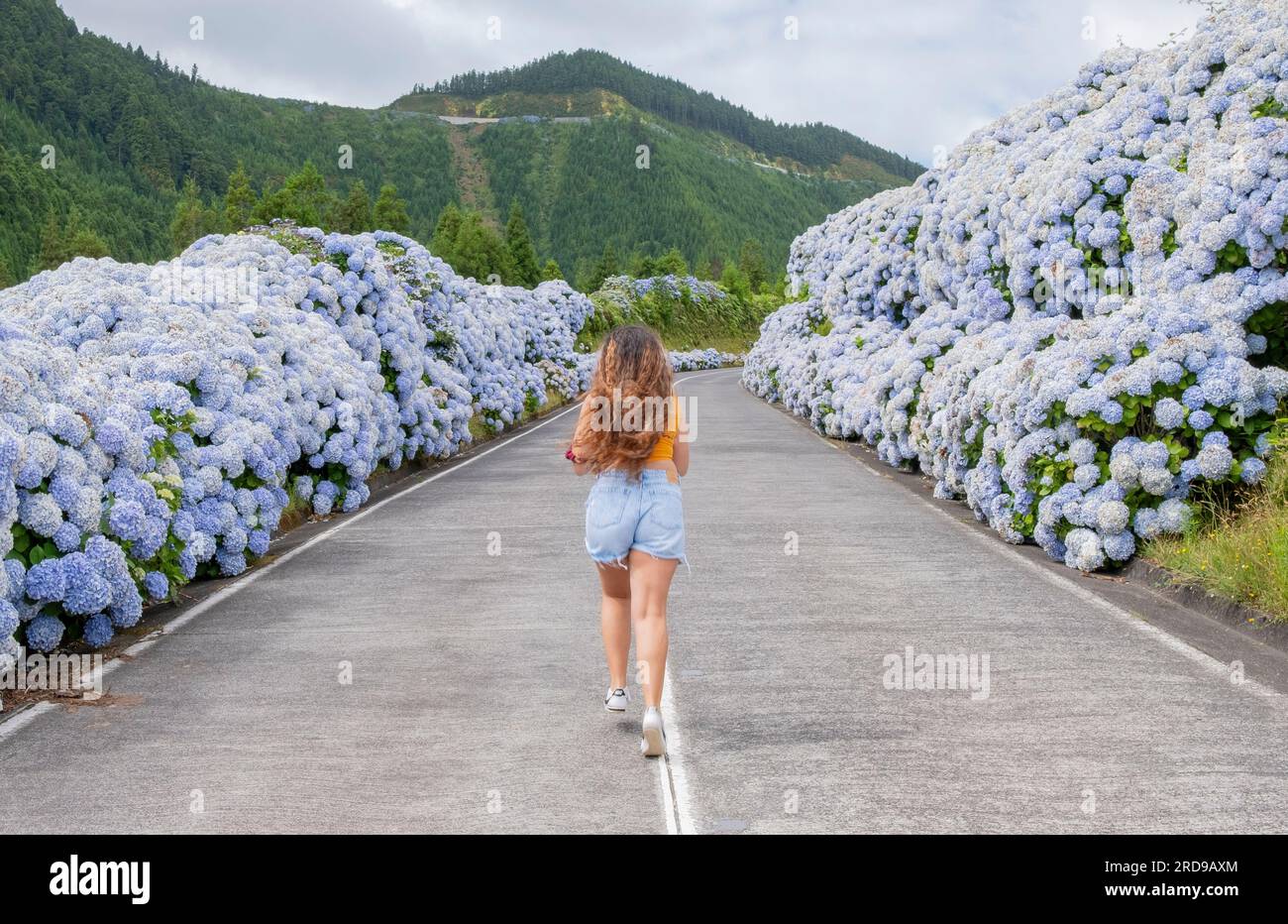 Azores, Young woman jumping happy in the middle of road with blue ...