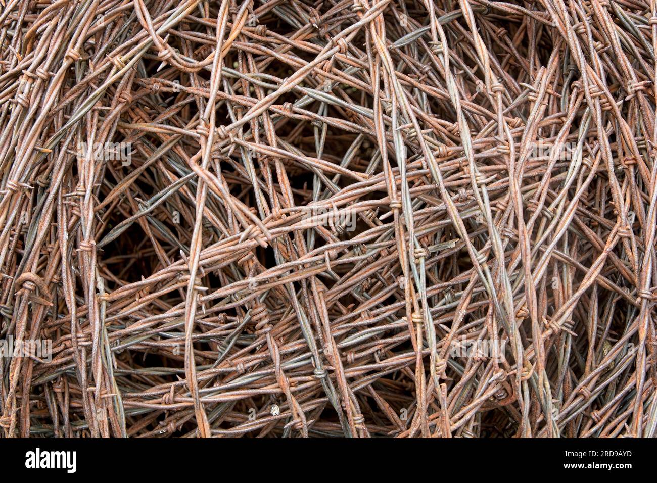 Tangled fence wire hi-res stock photography and images - Alamy