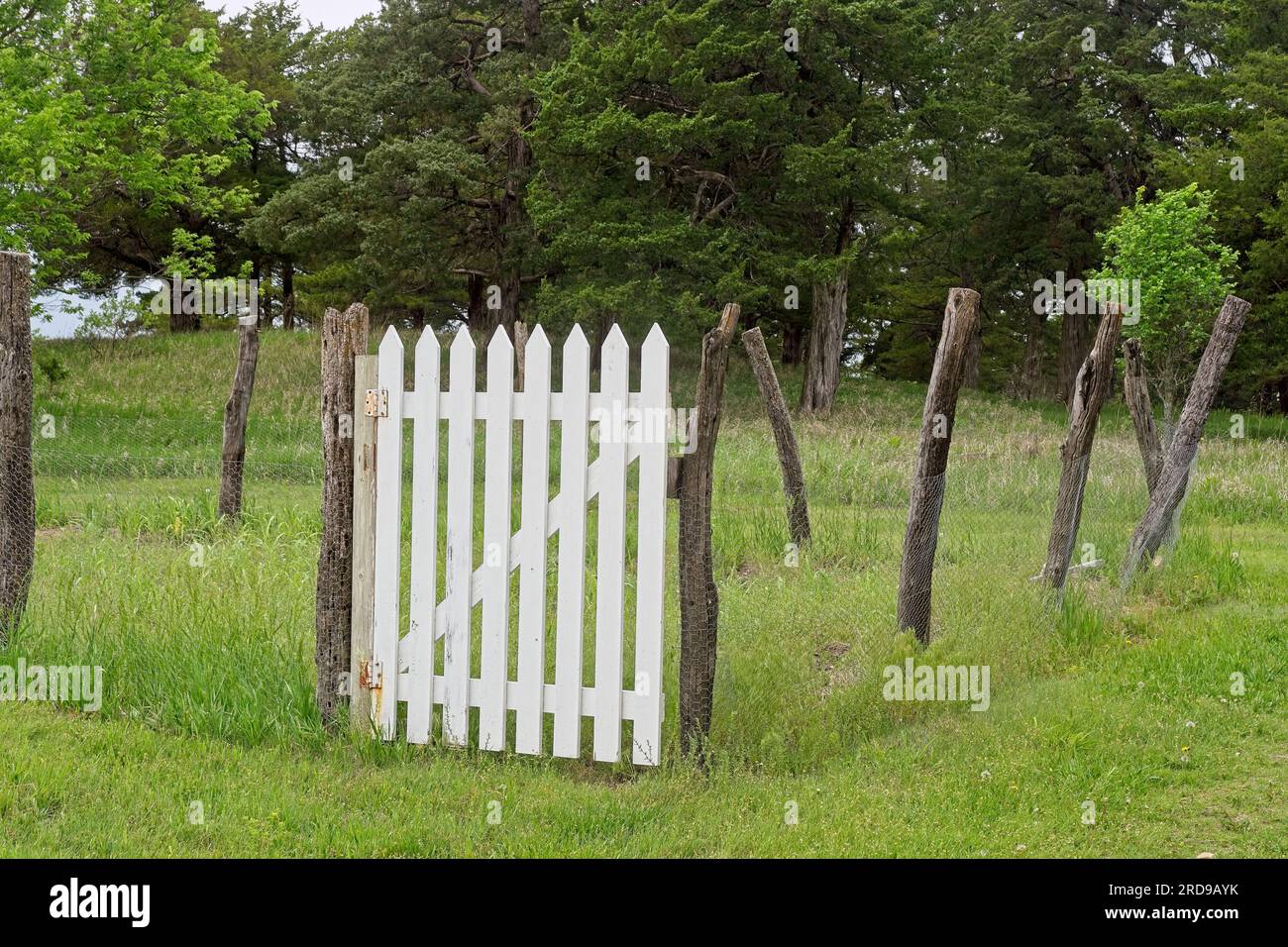 Picket fence gate hi-res stock photography and images - Alamy