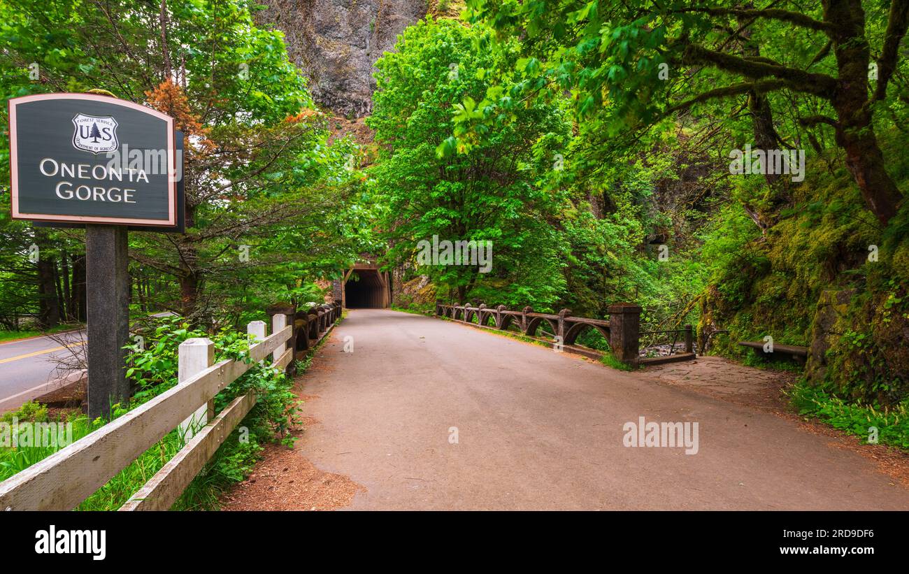 Oneonta Gorge, Columbia River Gorge National Scenic Area, Oregon USA ...