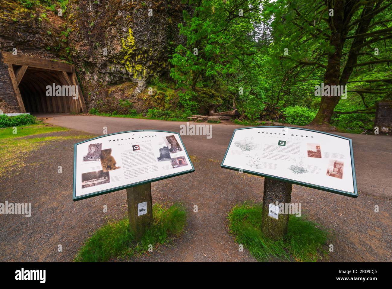 Interpretive sign at Oneonta Gorge and tunnel, Columbia River Gorge ...