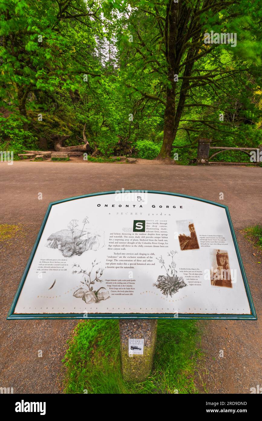 Interpretive sign at Oneonta Gorge, Columbia River Gorge National ...
