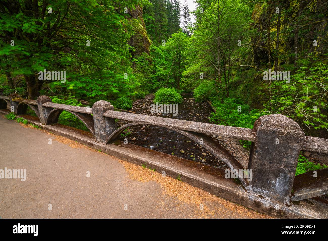 Oneonta Gorge, Columbia River Gorge National Scenic Area, Oregon USA ...