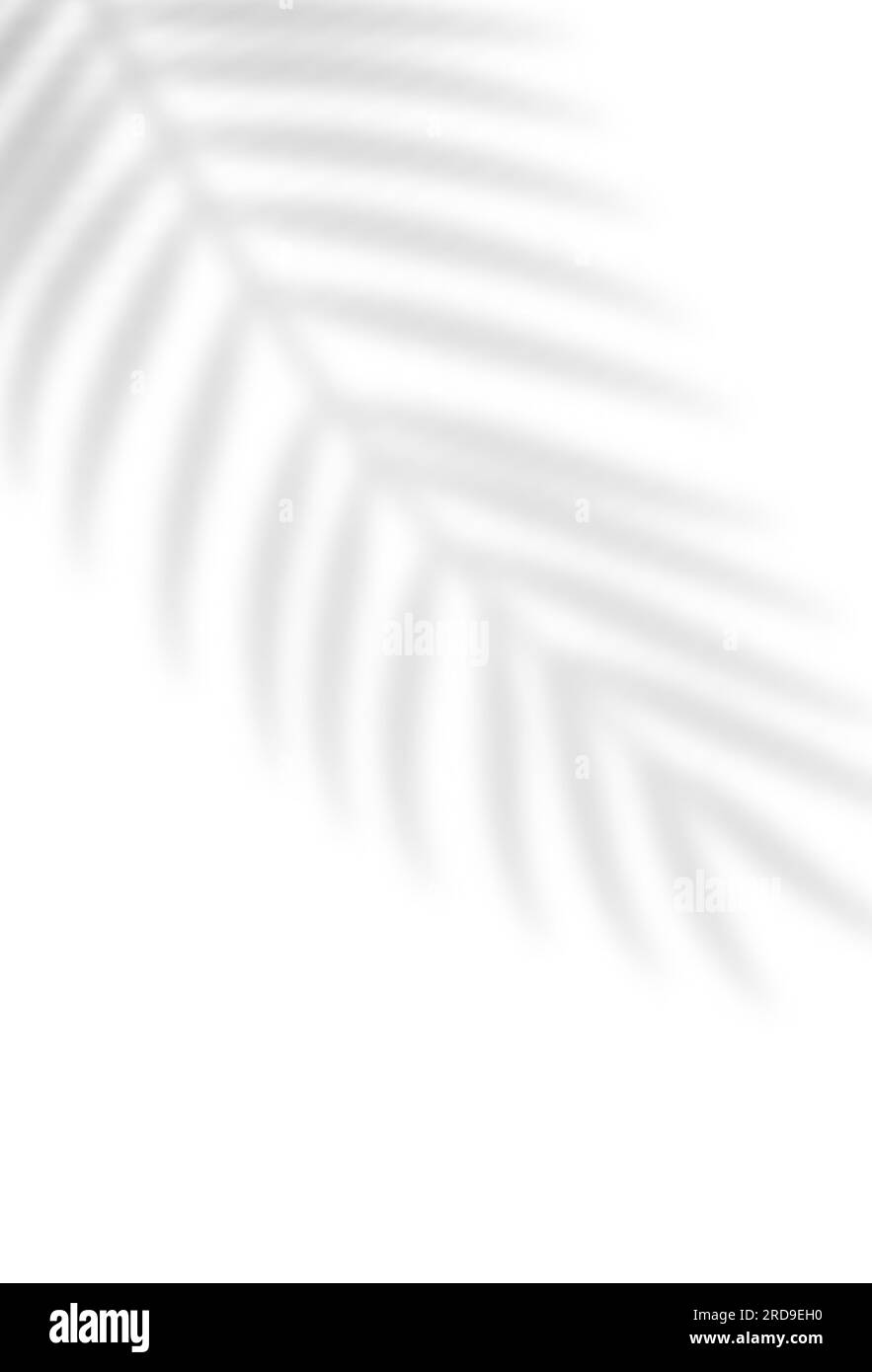 Tropical blurred leaf. Light overlay transparent effect Stock Vector ...