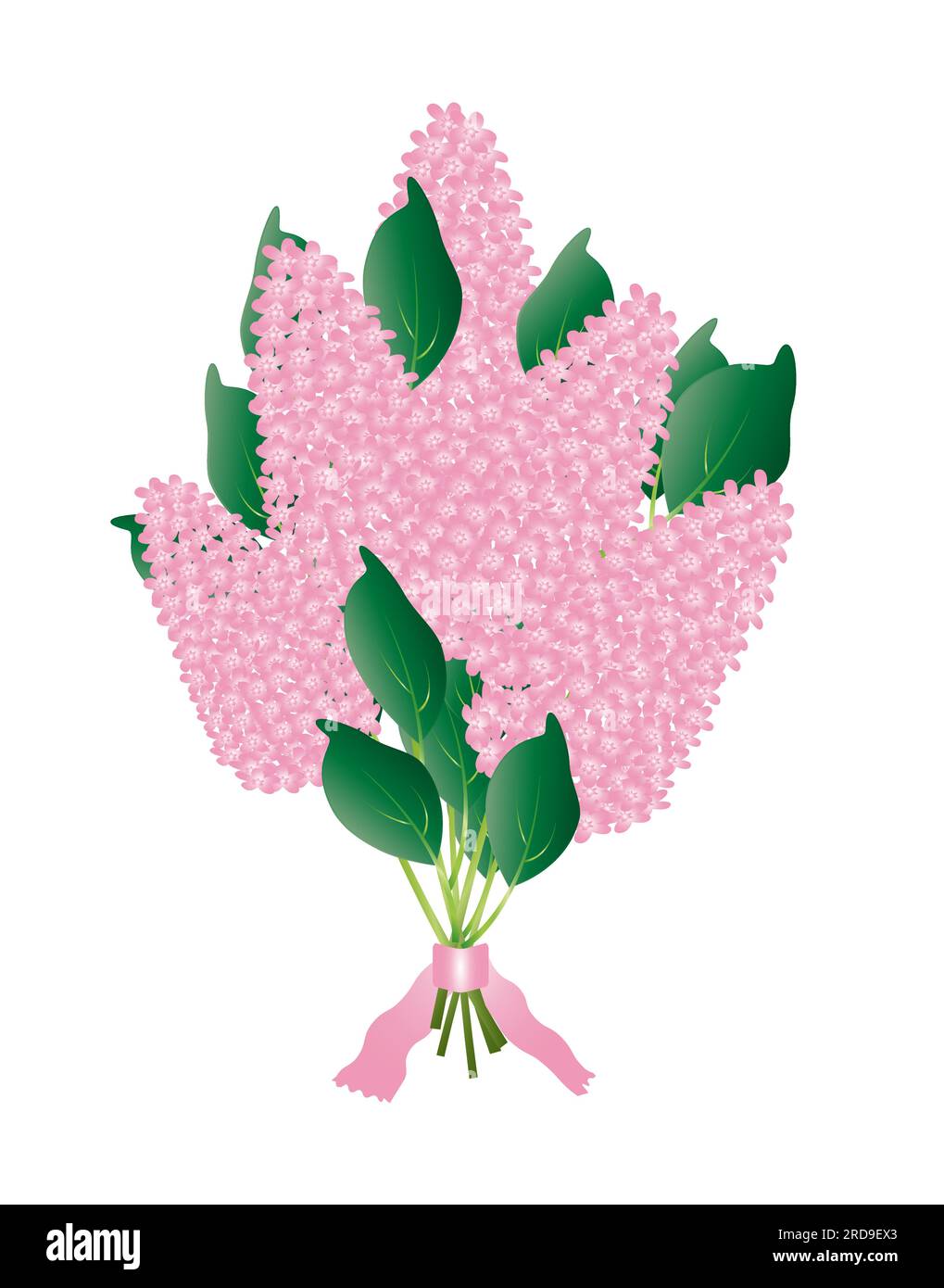 Lilacs tree Stock Vector Images - Alamy