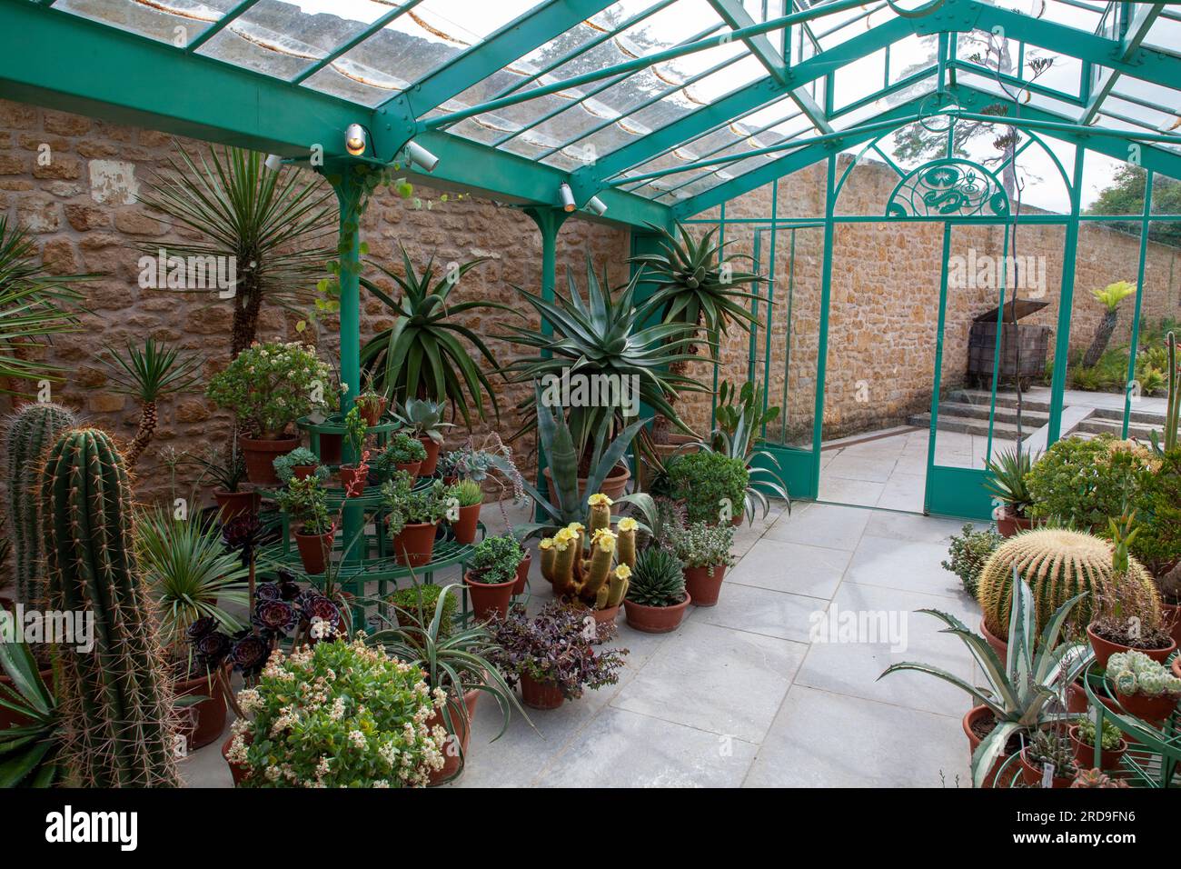 Winter Garden at The Newt, Bruton/Castle Cary Somerset Stock Photo - Alamy