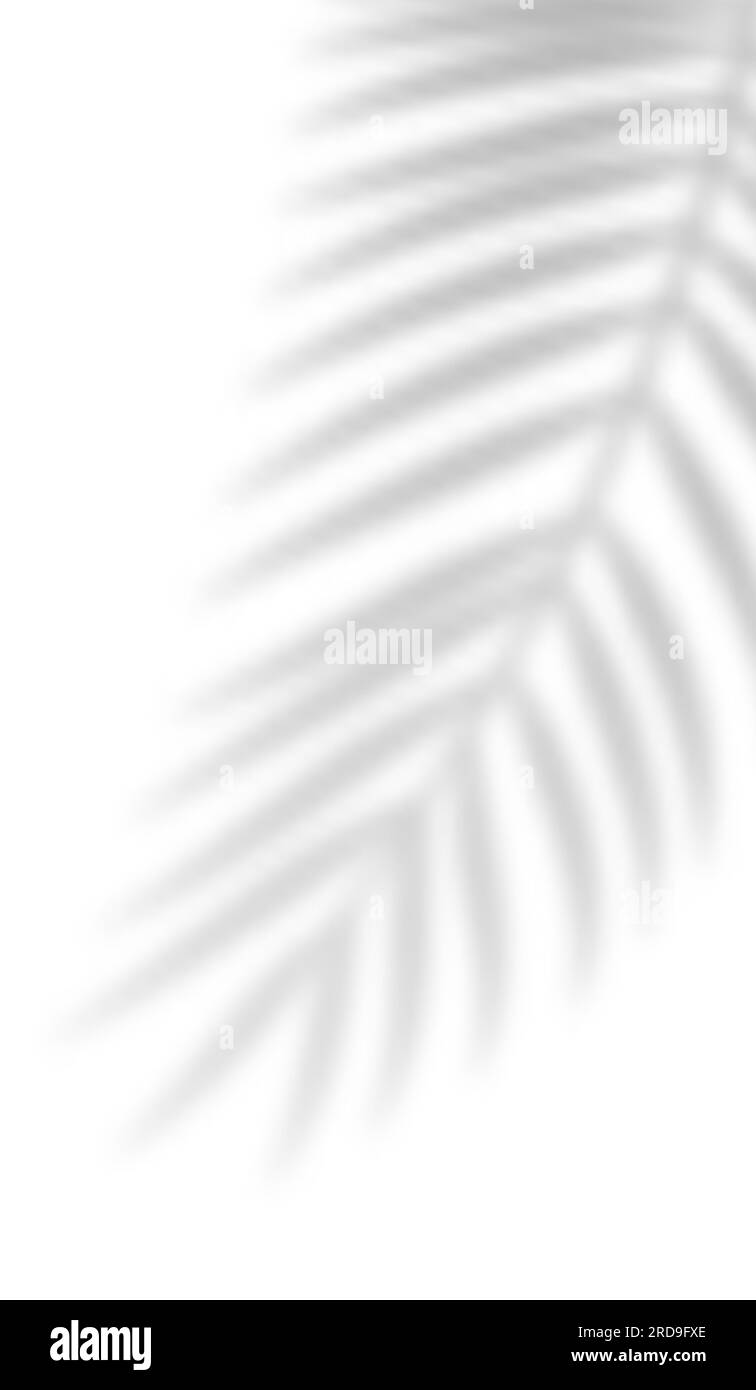 Shadow overlay effect blurred Stock Vector Images - Alamy