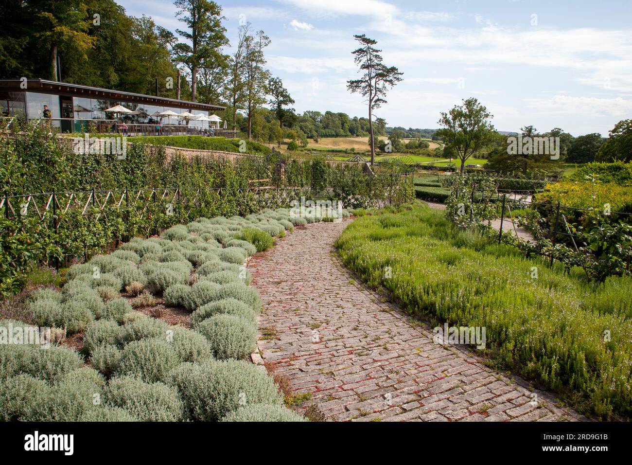 The newt somerset parabola hi-res stock photography and images - Alamy