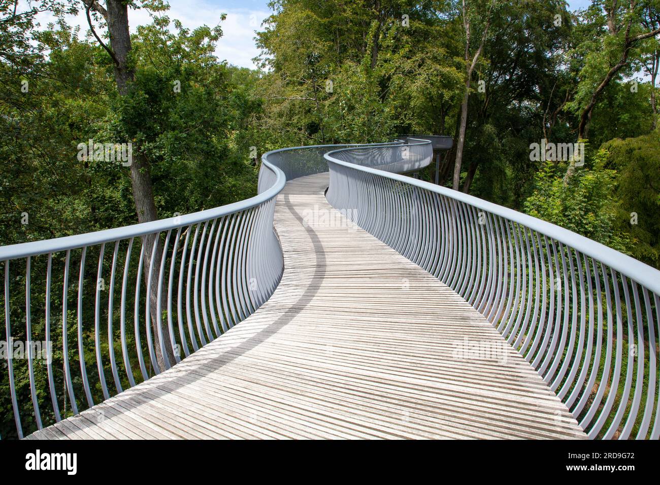 The Viper Elevated Walkway at The Newt, Bruton/Castle Cary Somerset ...