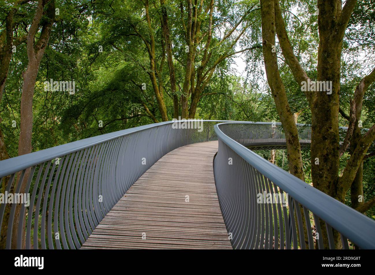 The viper elevated walkway hi-res stock photography and images - Alamy
