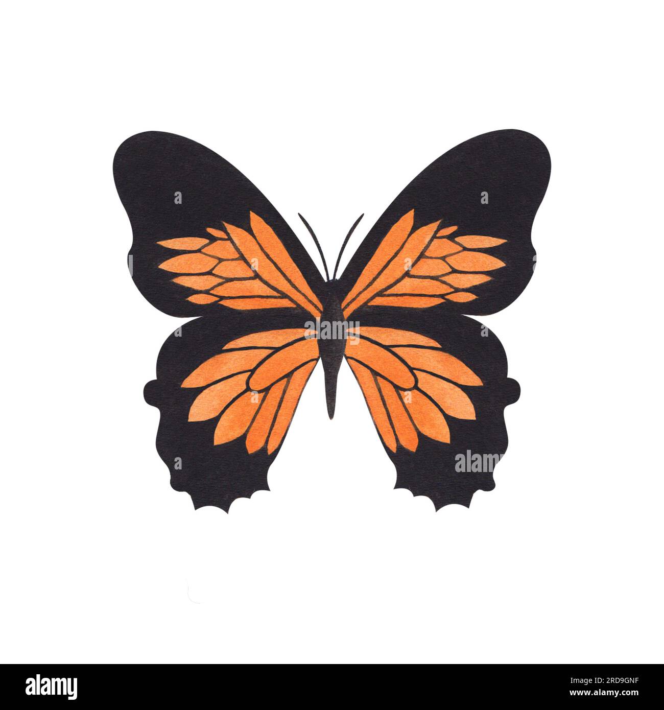 Clipart Monarch Butterfly
