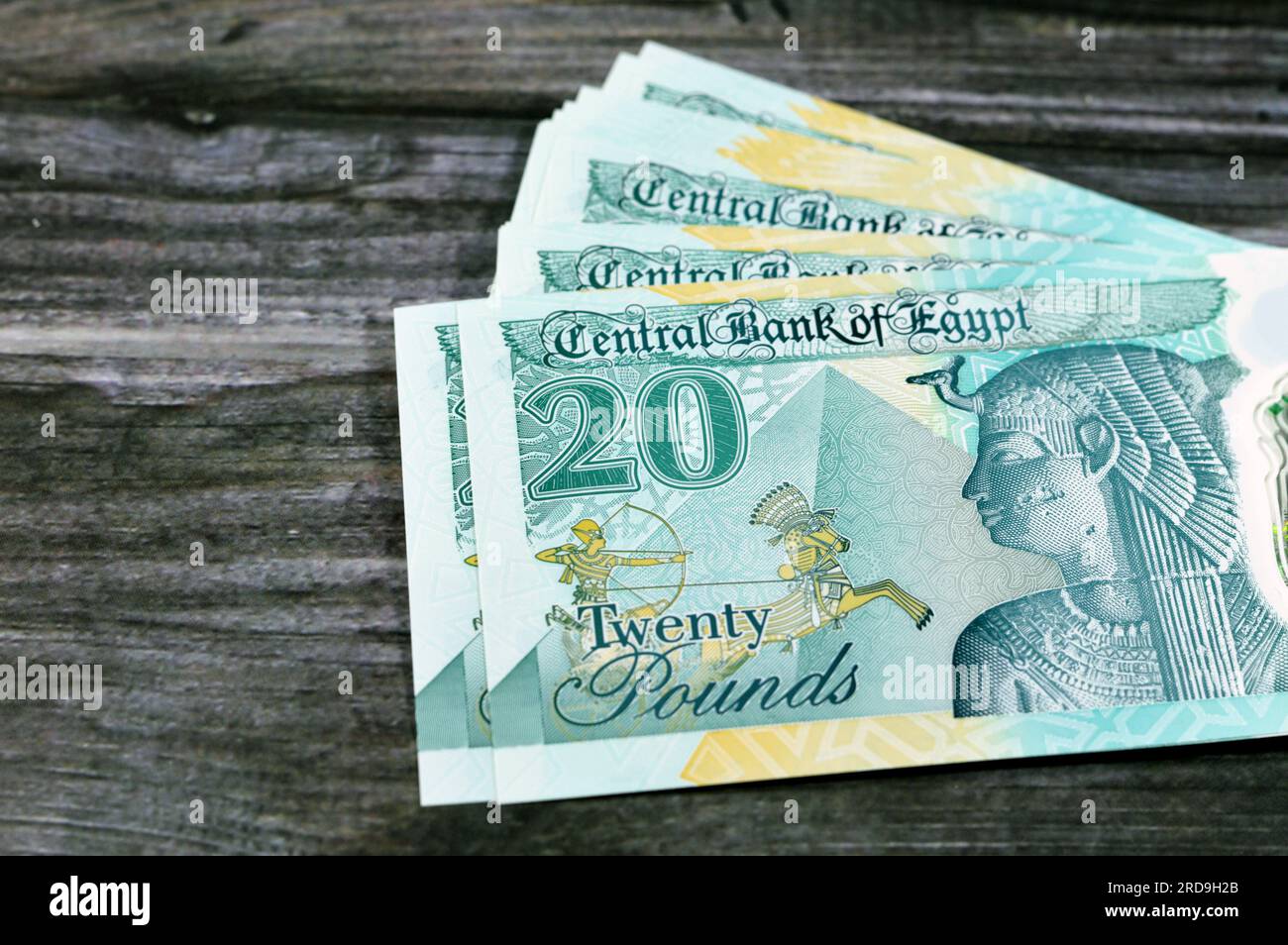 Reverse side of the new Egyptian 20 EGP LE twenty polymer pounds cash ...