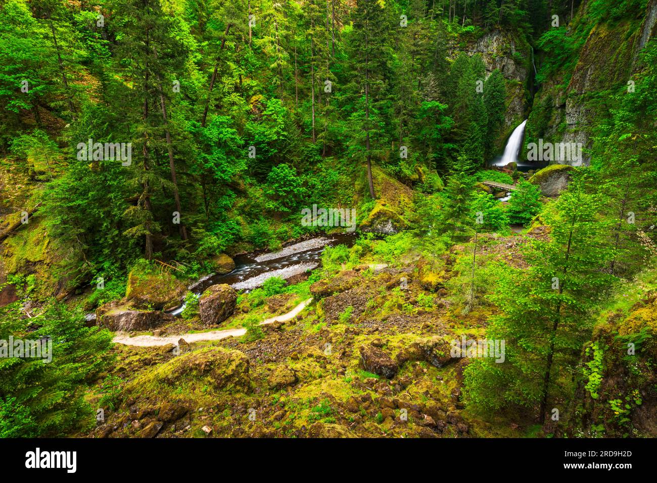 Wahclella Falls, Columbia River Gorge National Scenic Area, Oregon USA ...