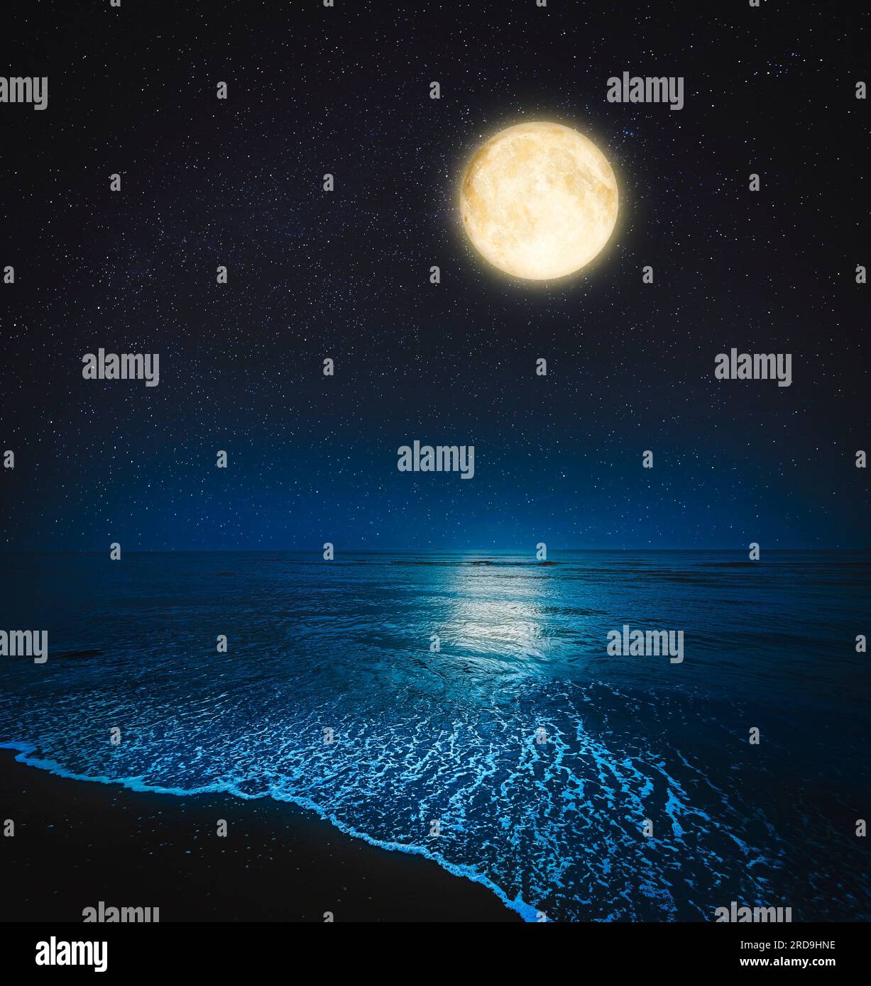 Starry sky over sandy beach hi-res stock photography and images - Alamy