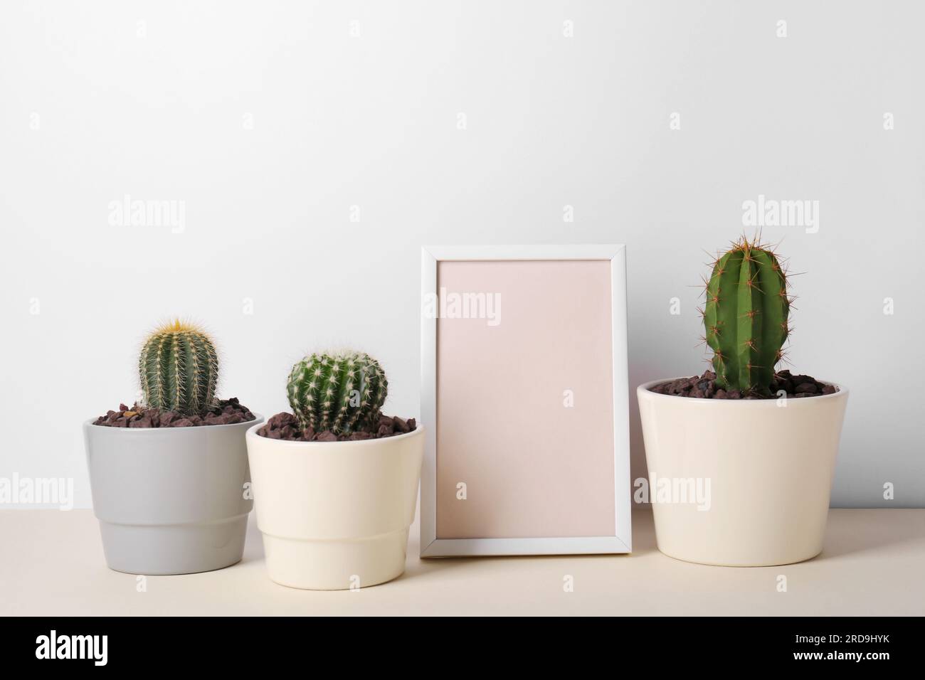 Different cacti in pots and empty frame on beige table Stock Photo - Alamy