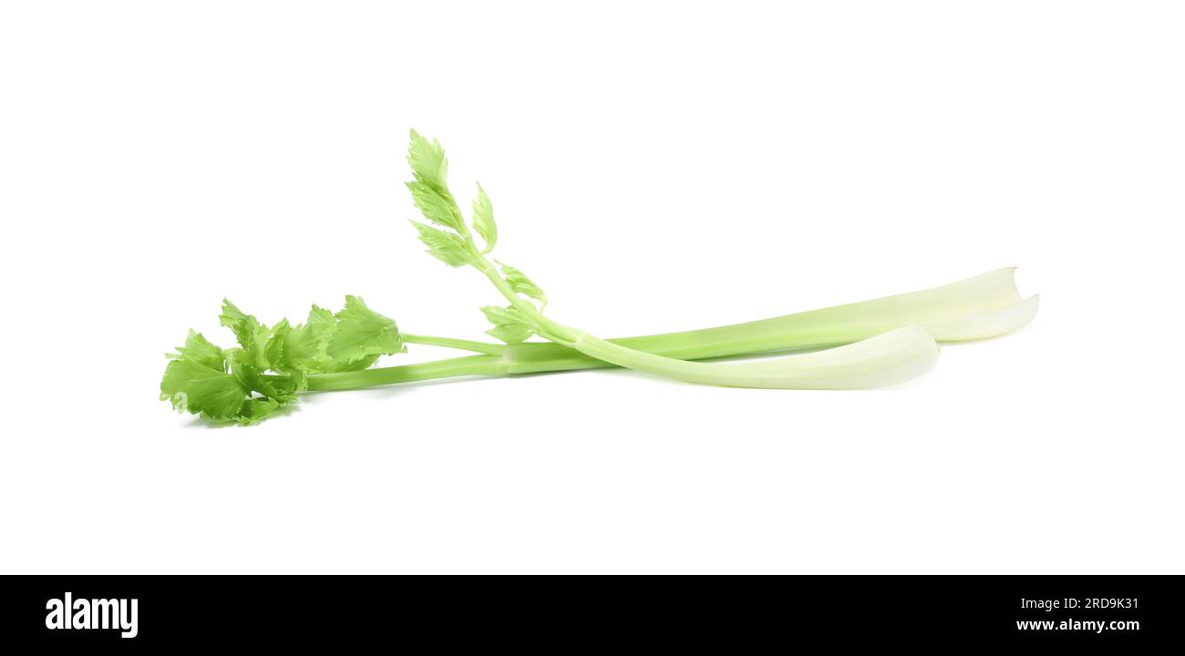 Fresh green celery stems hi-res stock photography and images - Alamy
