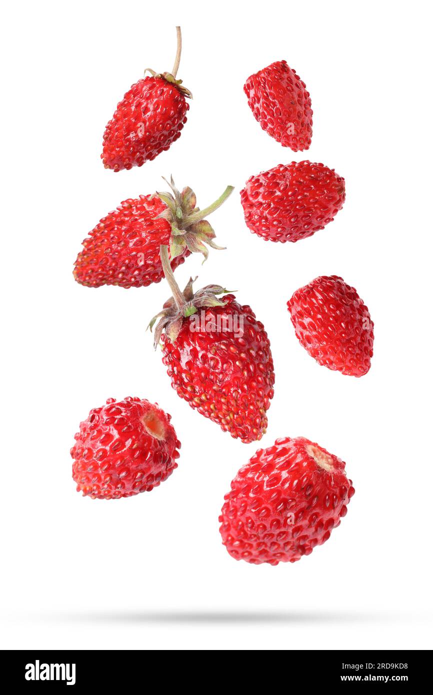 Red tasty wild strawberries Cut Out Stock Images & Pictures - Alamy