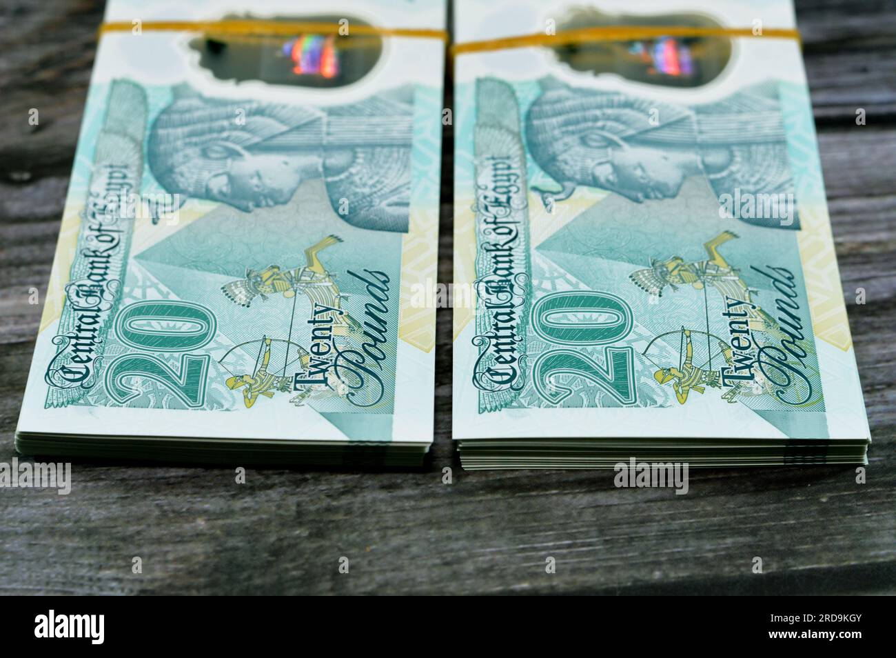 new Egyptian 20 EGP LE twenty polymer pounds cash money banknote bill ...