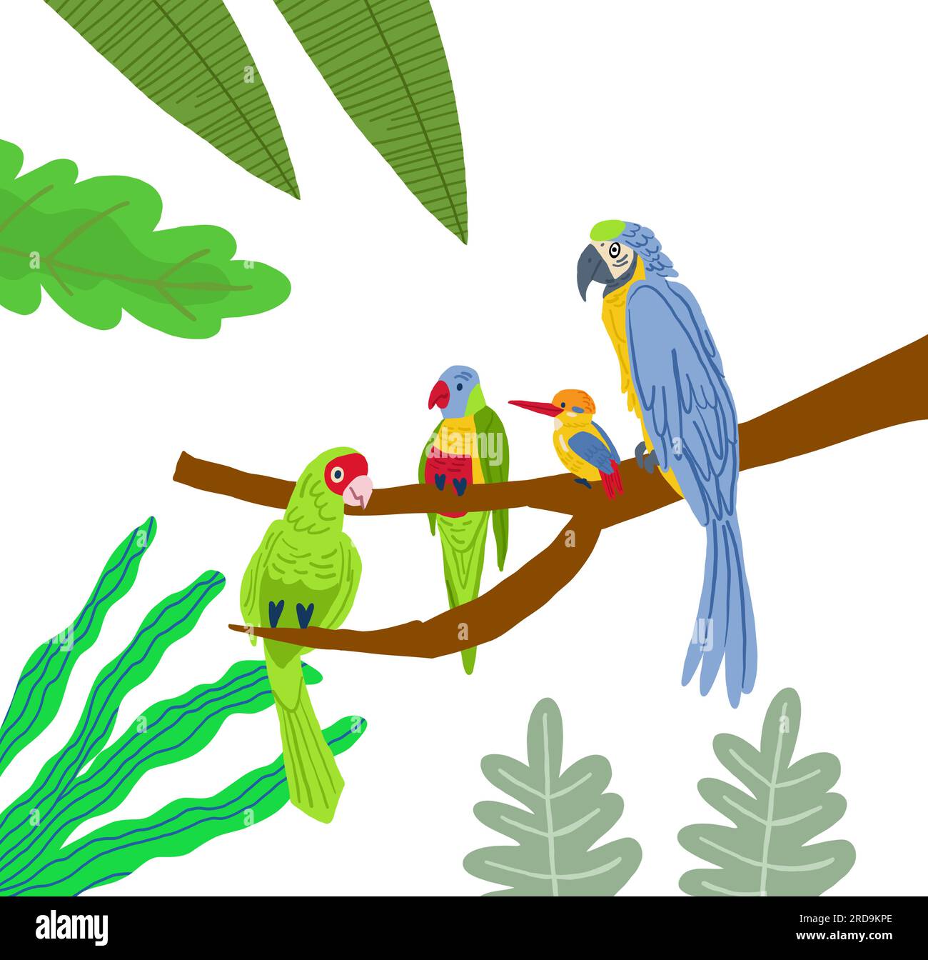 Different type of exotic birds. Vector flat cartoon graphic design ...