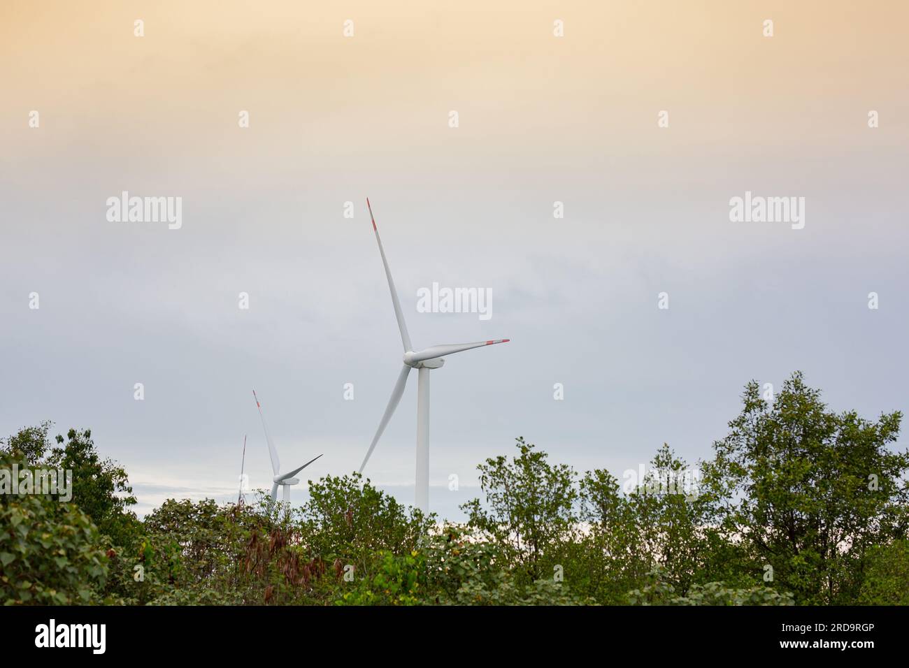 Tree line with wind turbines generating electricity Stock Photo - Alamy