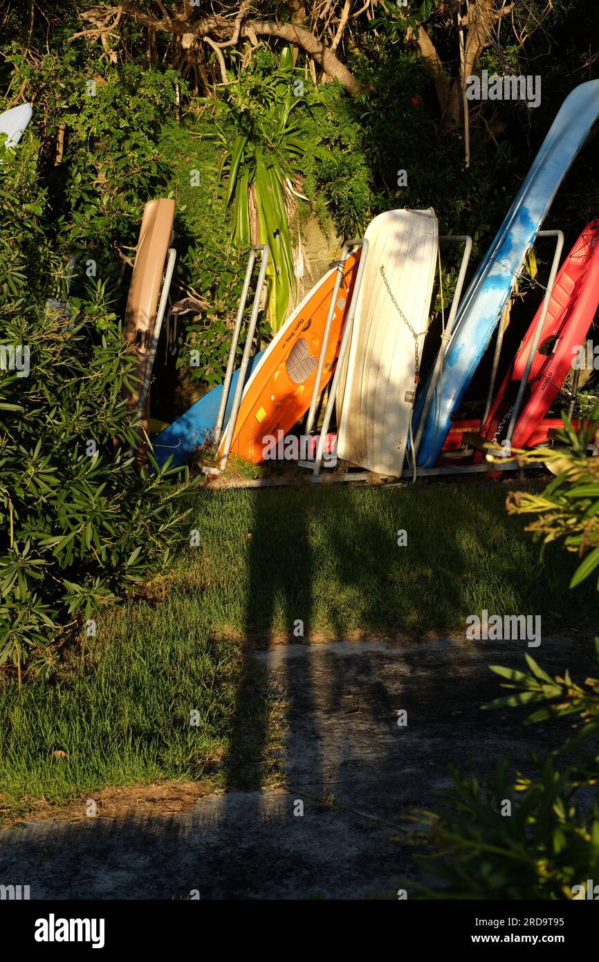 Foliage, a shadow selfie and colourful small boats in racks at Heritage ...