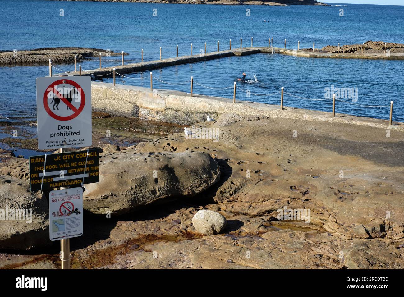 A collection of signs and a solo swimmer at Malabar Ocean Pool, Long ...