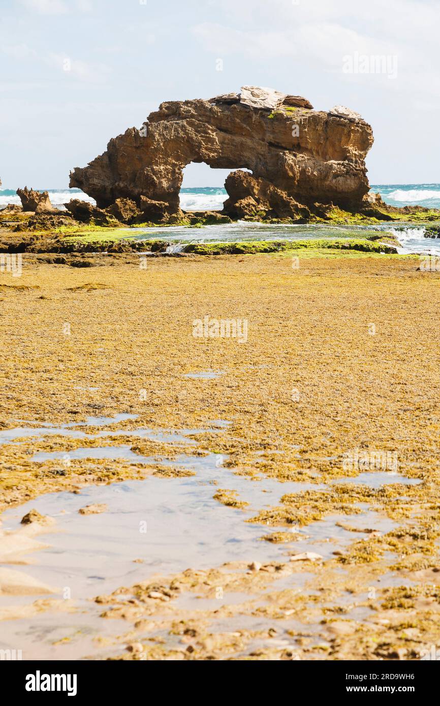 Back beach hi-res stock photography and images - Alamy
