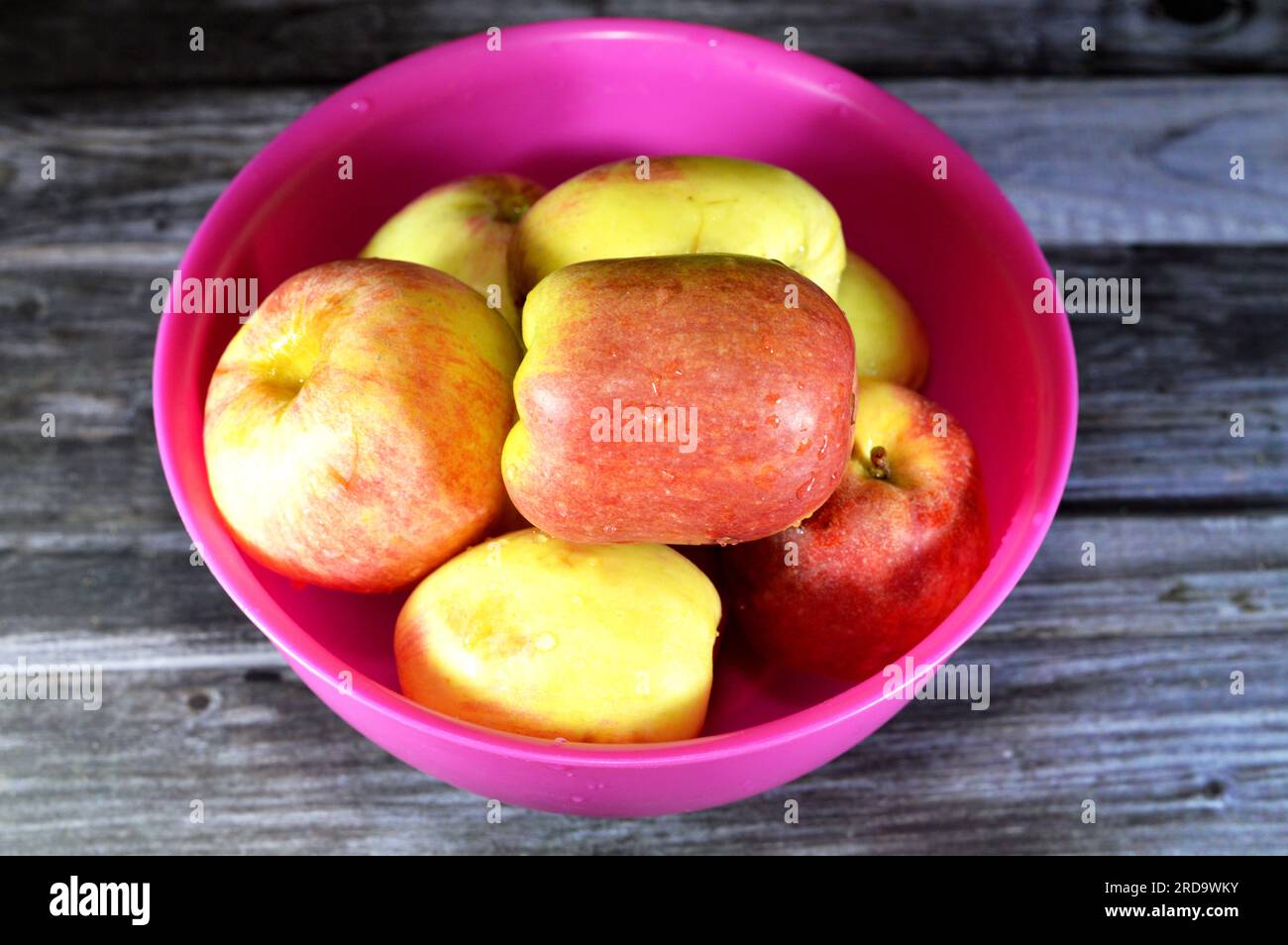 Bowl full of Egyptian fresh Apples, An apple is a round, edible fruit ...