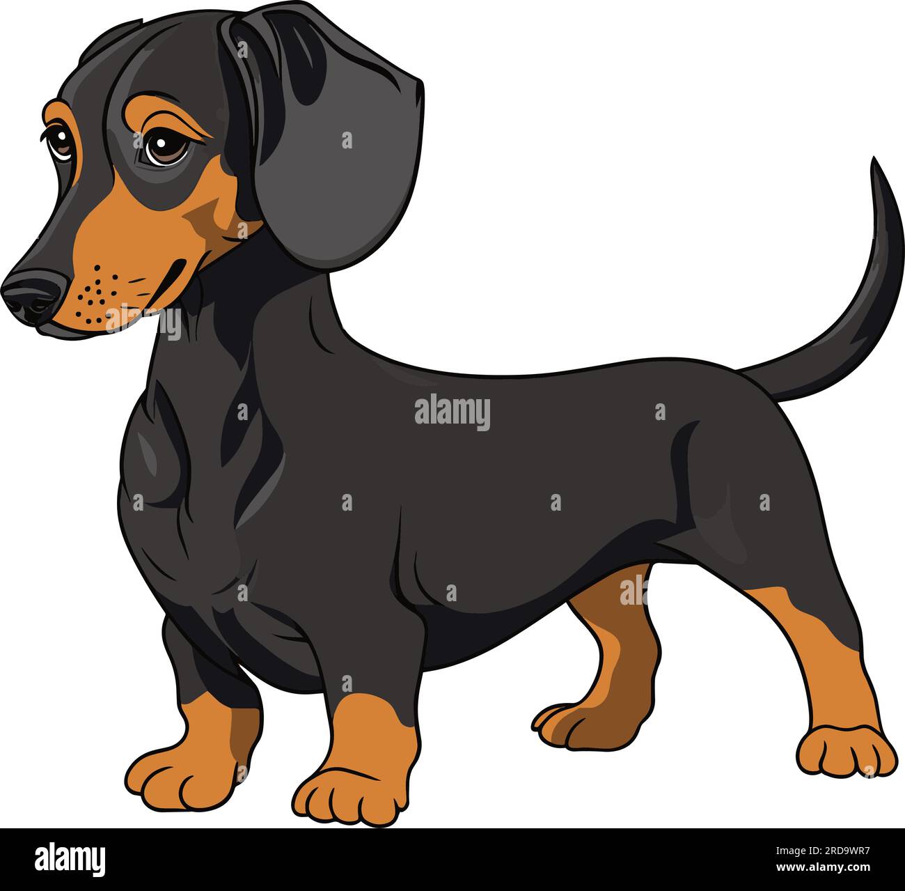 Cheerful pet Stock Vector Images - Alamy