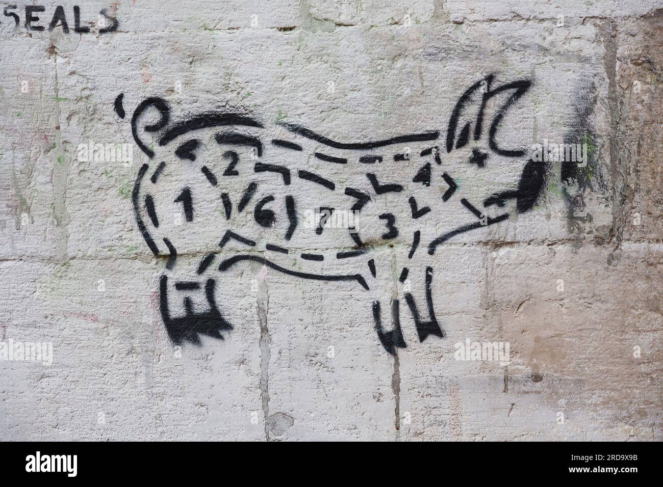 Graffiti of a pig on a Venice wall Stock Photo - Alamy