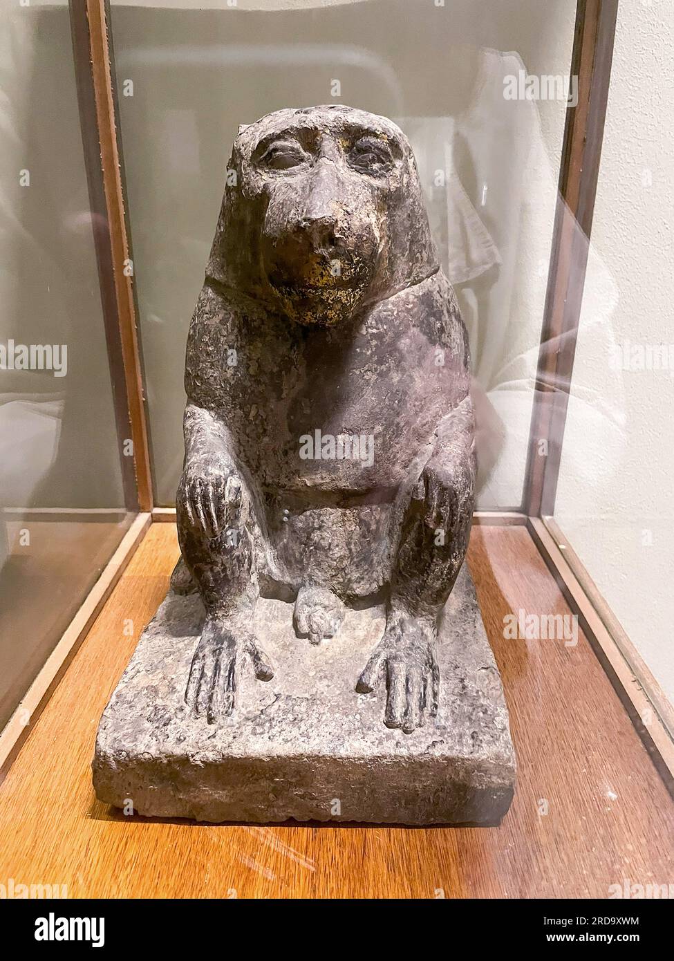 Cairo, Egypt - July 15, 2023: the pharaos monkey at the national museum ...