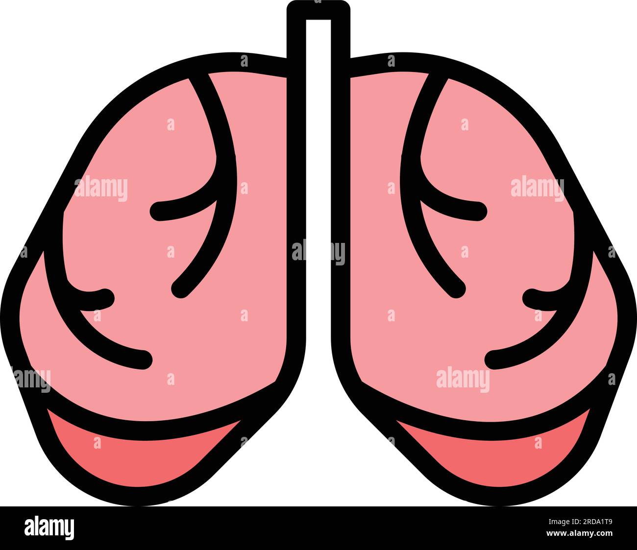 Healthy lungs icon outline vector. Medical xray. Patient lung color ...