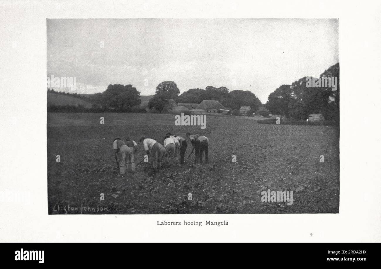 English farming 1940 hi-res stock photography and images - Alamy