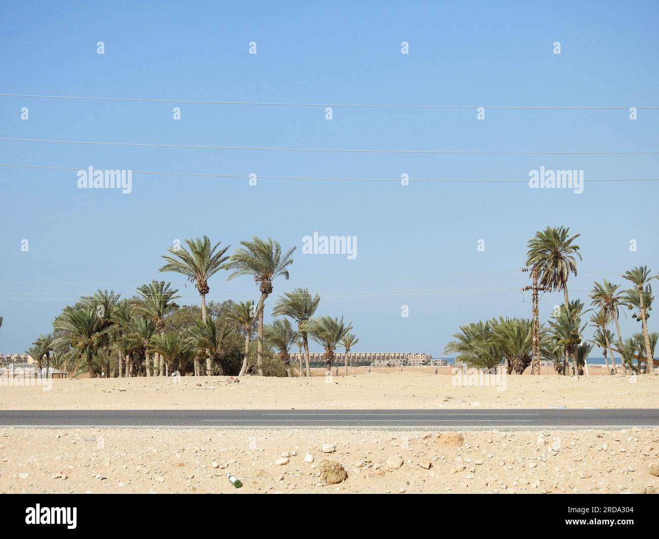 Prophet Moses Springs, Water wells and palms in Sinai Peninsula, Ras ...