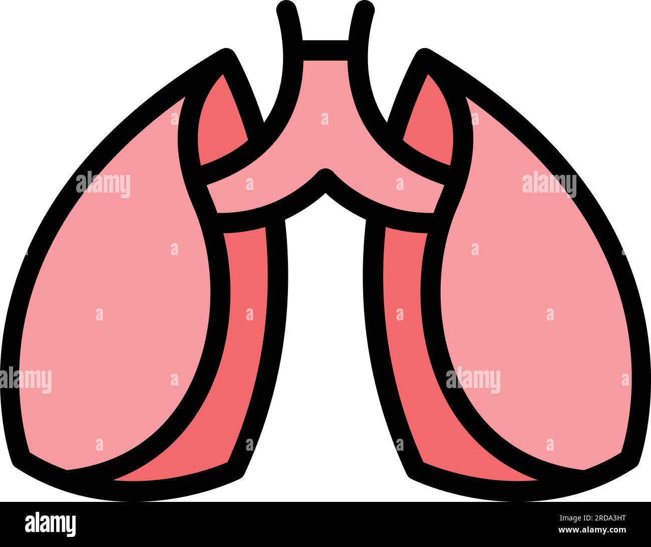 Patient lungs icon outline vector. Lung xray. Doctor health color flat ...