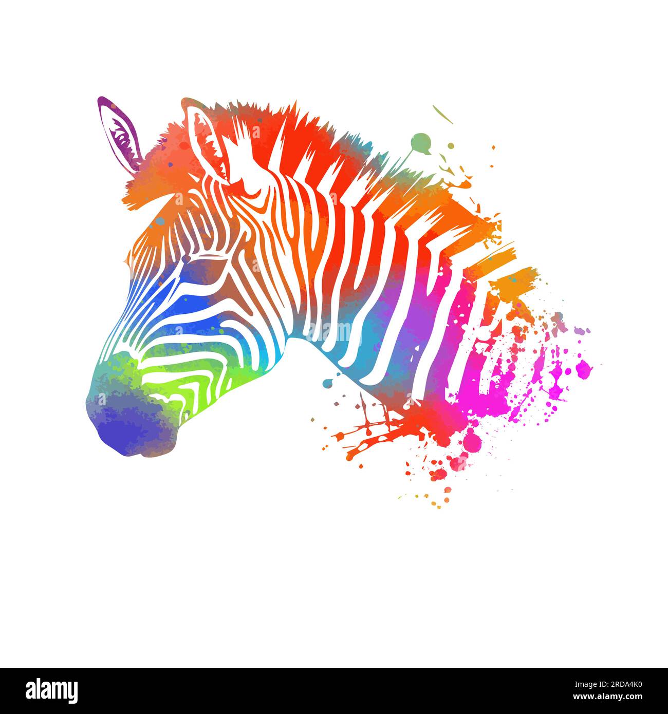 Colored zebra object . T-shirt print. Vector illustration Stock Vector ...