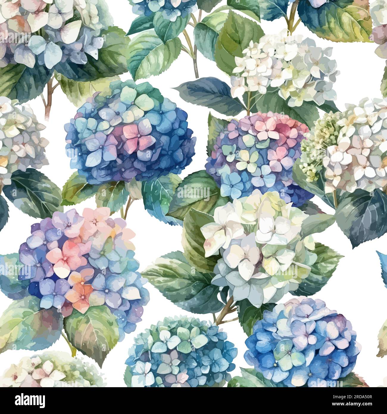 Seamless pattern of watercolor hydrangeas. Vector illustration Stock ...