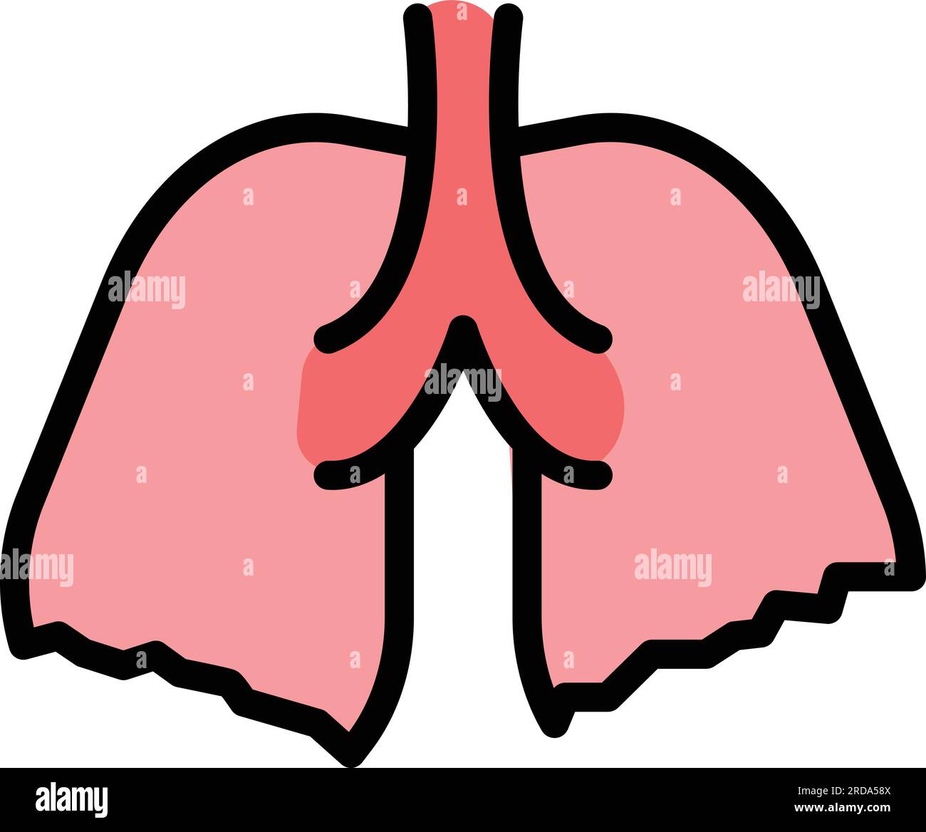 Lungs xray icon outline vector. Patient cancer. Health chest color flat ...