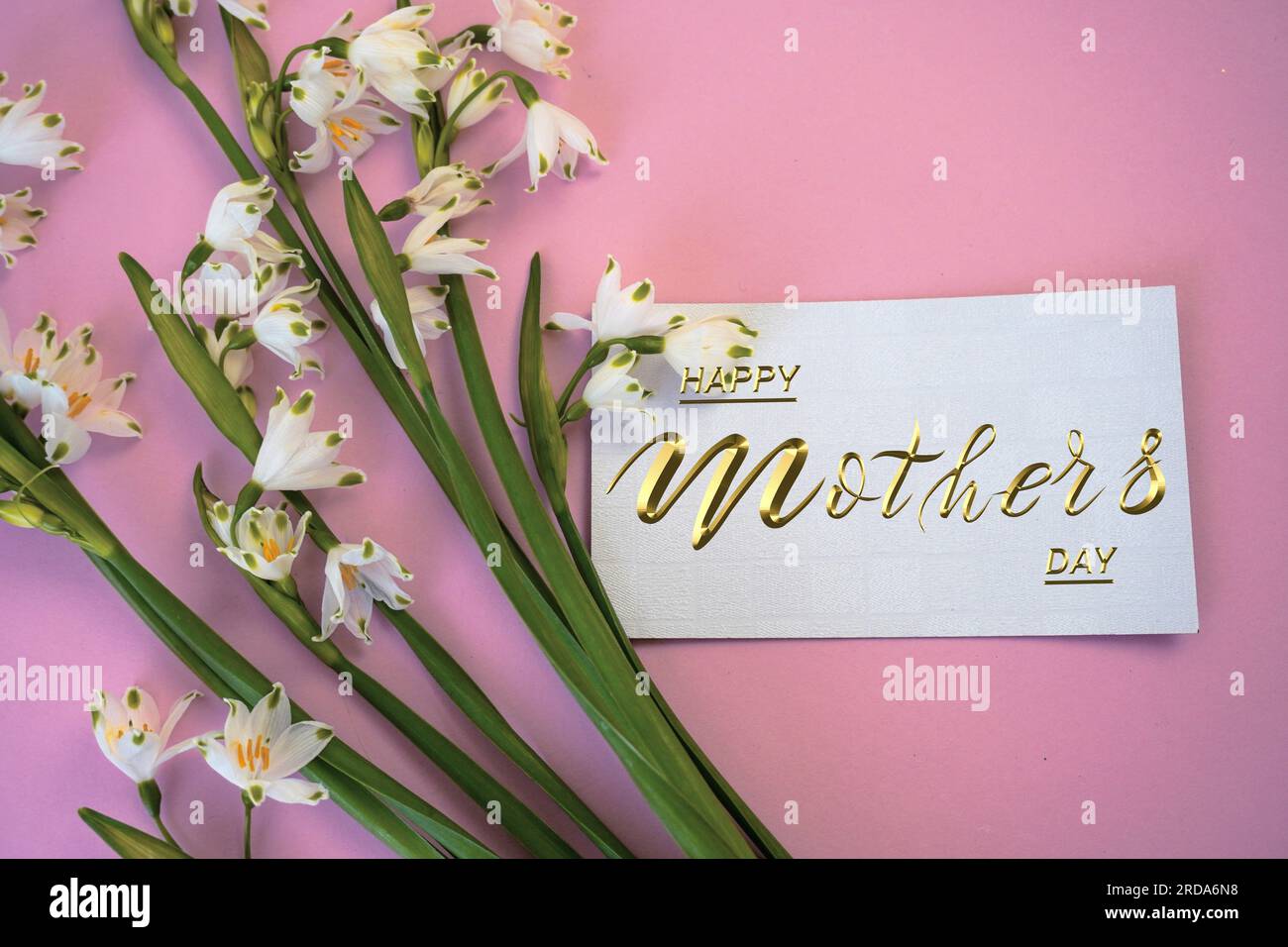 Card, banner, congratulations on Mothers Day , snowdrop flowers Stock ...