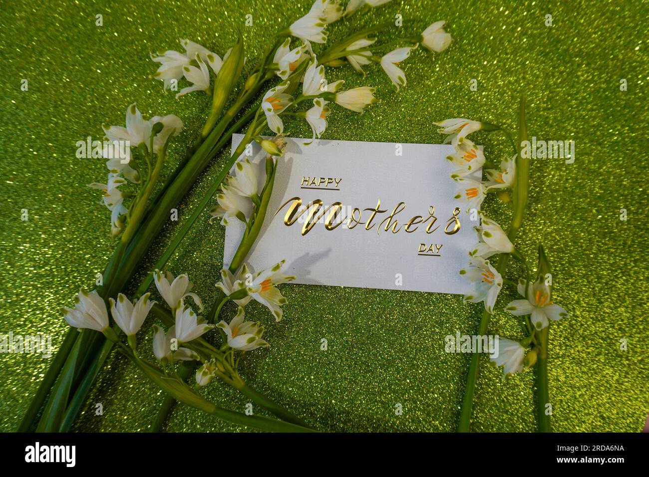 Card, banner, congratulations on Mothers Day , snowdrop flowers Stock ...
