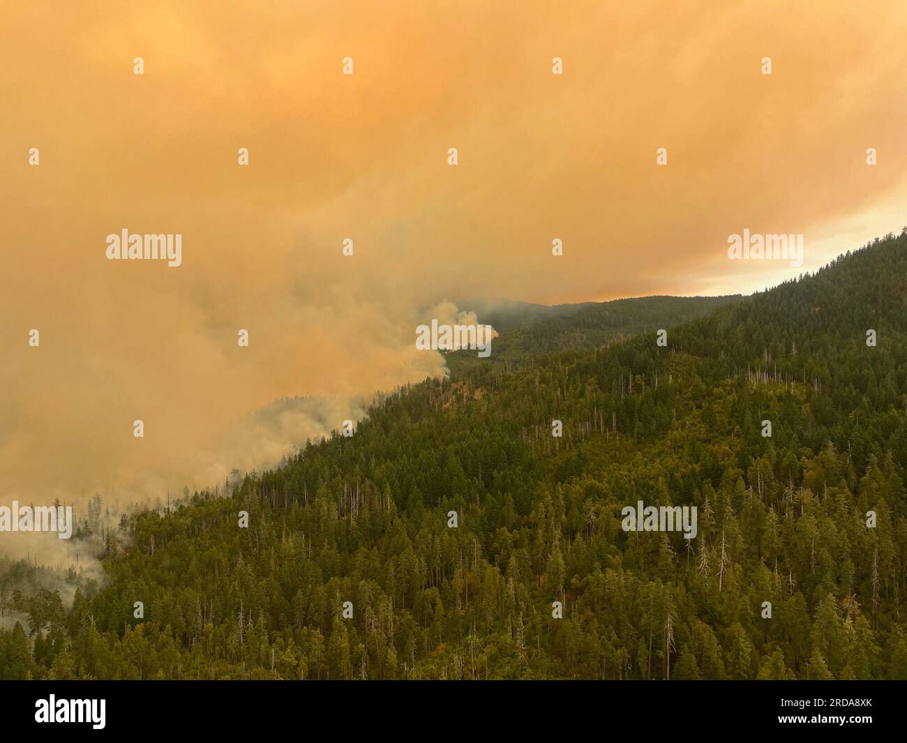 Oregon, USA. 19th July, 2023. Flat Fire grows to 12,756 acres, 224 Fire ...