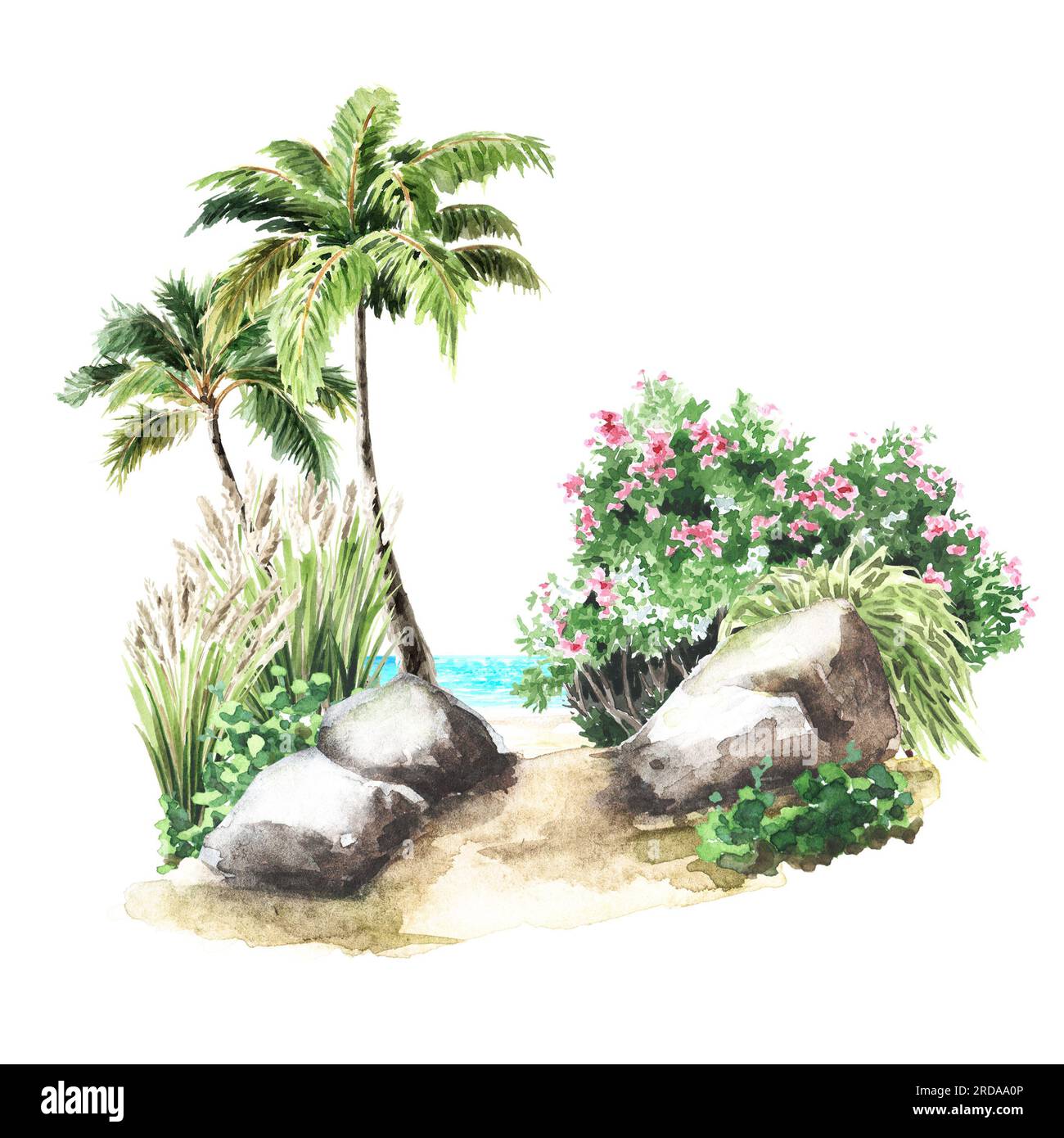 Sea shore. An element of tropical nature. Hand drawn watercolor ...