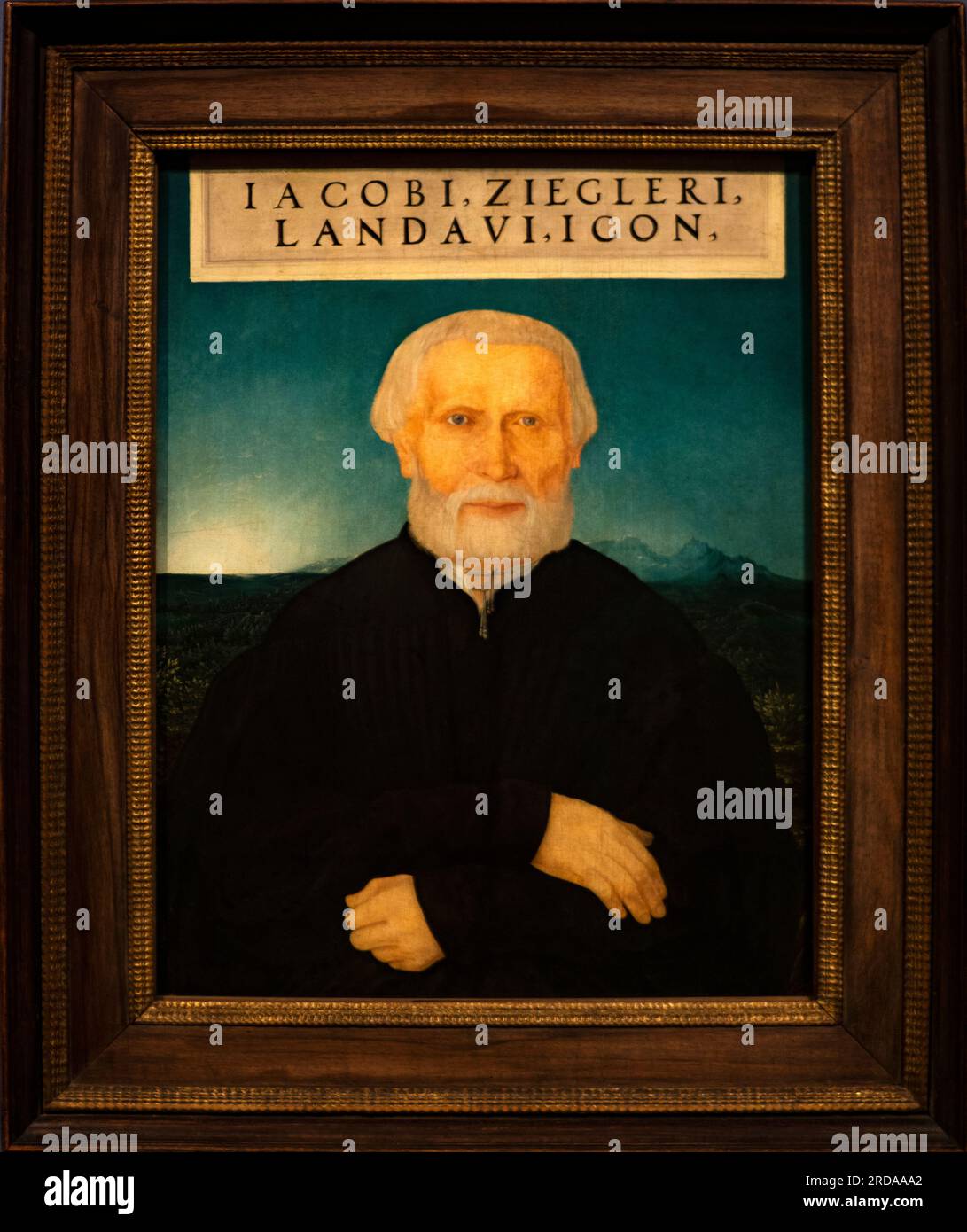 Wolfgang ziegler hi-res stock photography and images - Alamy