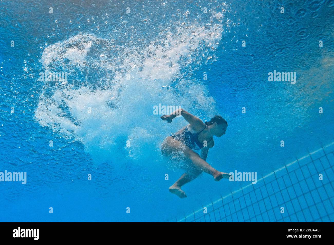 Emilia Nilsson Garip of Sweden competes during the women's 3m ...