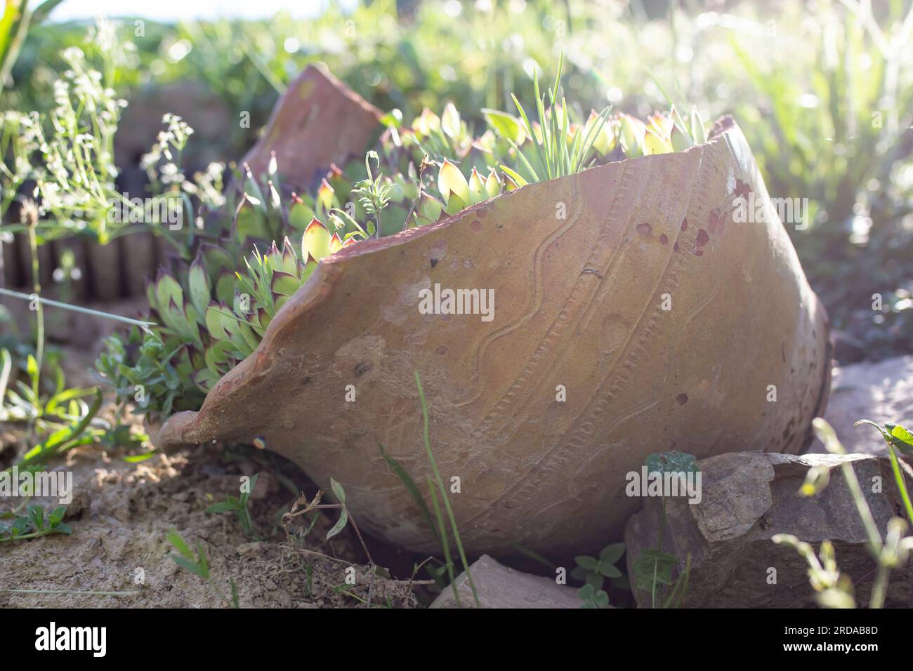 Broken pot garden hi-res stock photography and images - Alamy
