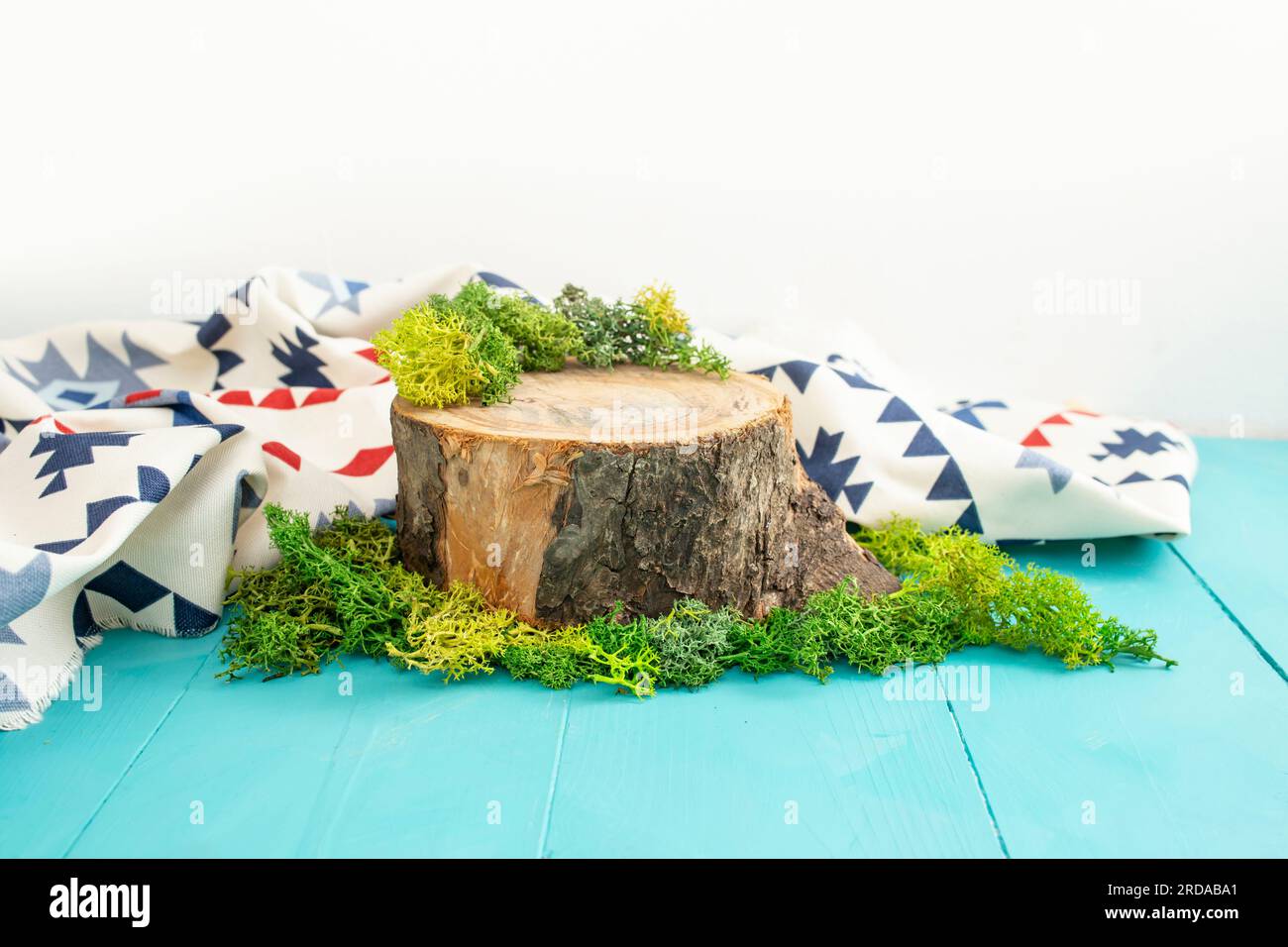 Tree trunk cross section with green stabilized lichen and rustic cloth ...