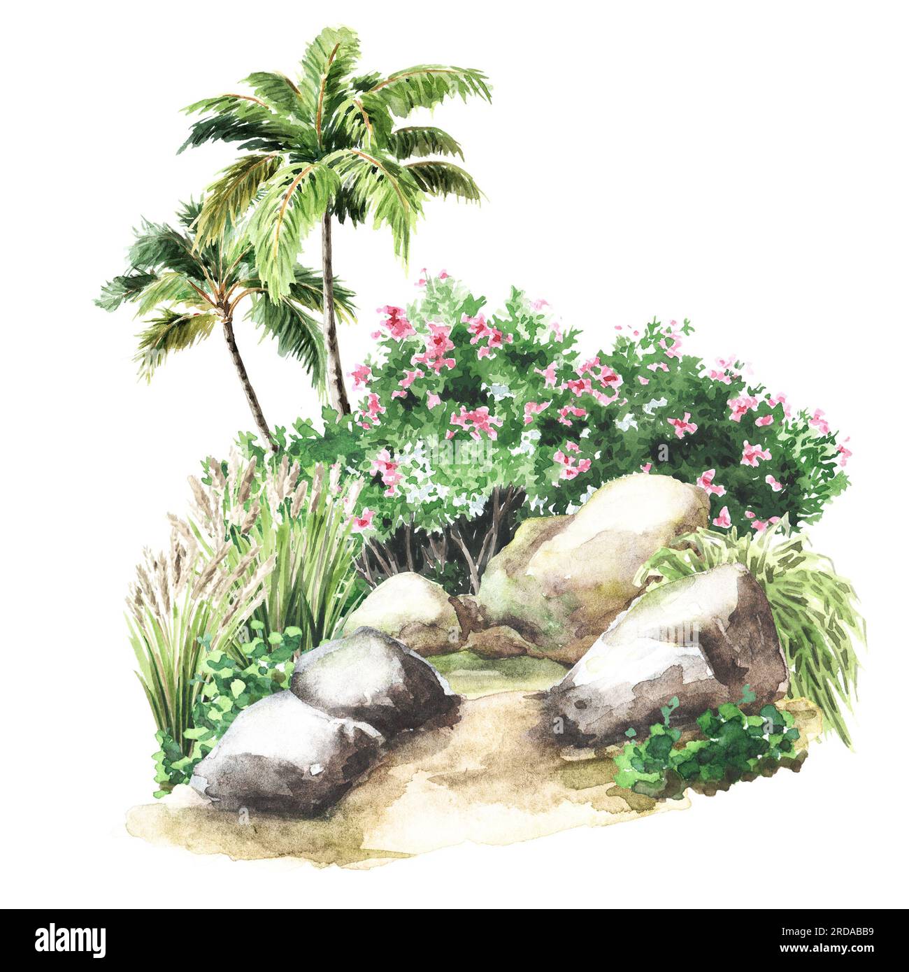 Tropical plants composition. Landscape design element. Hand drawn ...